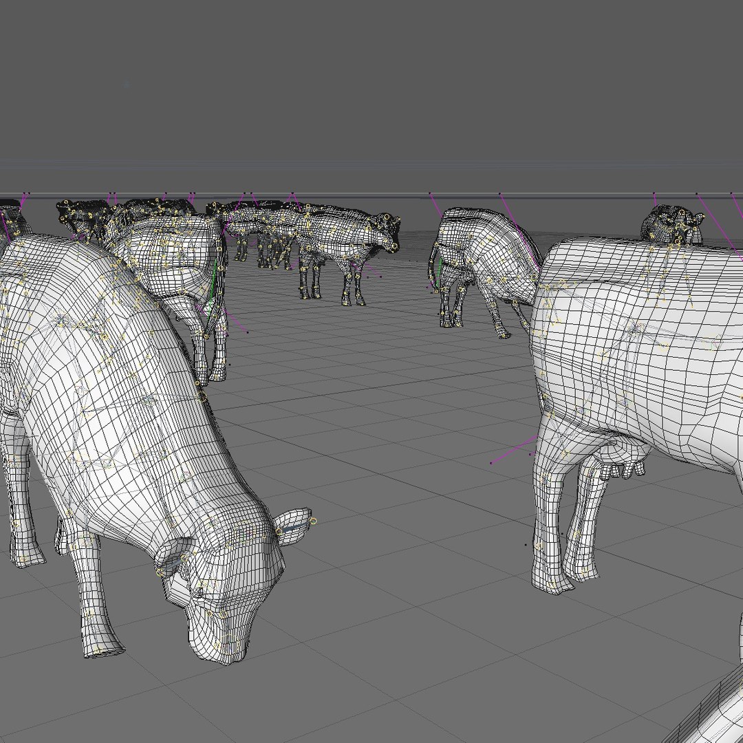 3D Version Cows Animal - TurboSquid 1152984