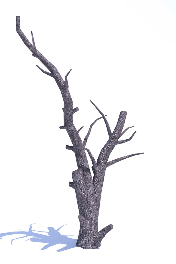 Charred Trees 5 Types 3D - TurboSquid 1392266