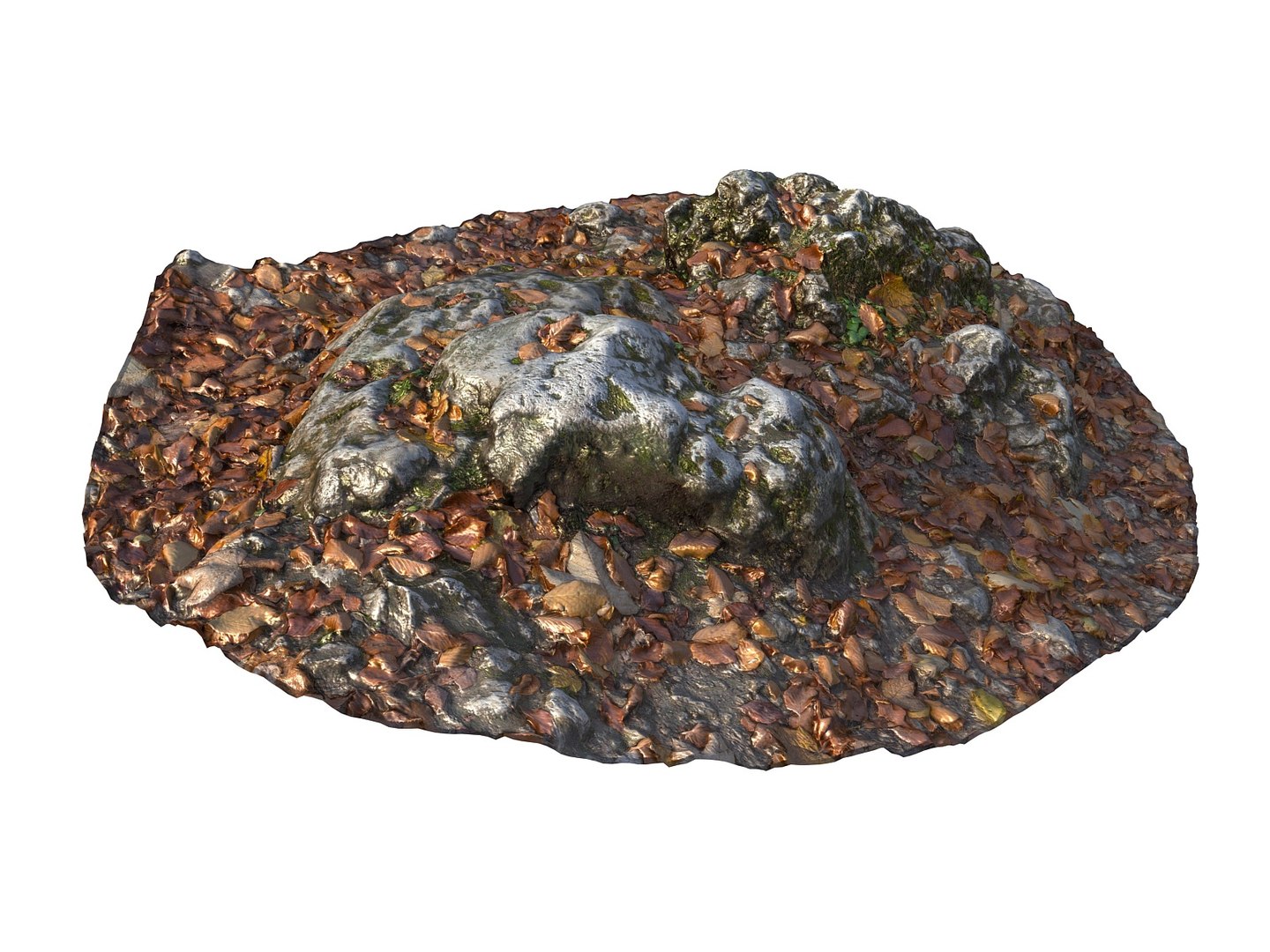 max rock forest autumn 8k