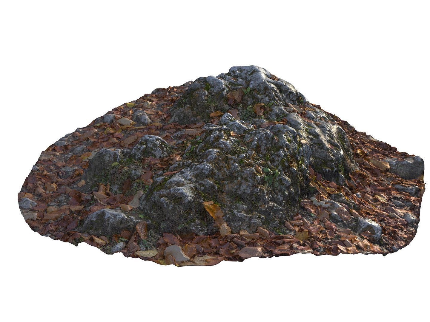 max rock forest autumn 8k