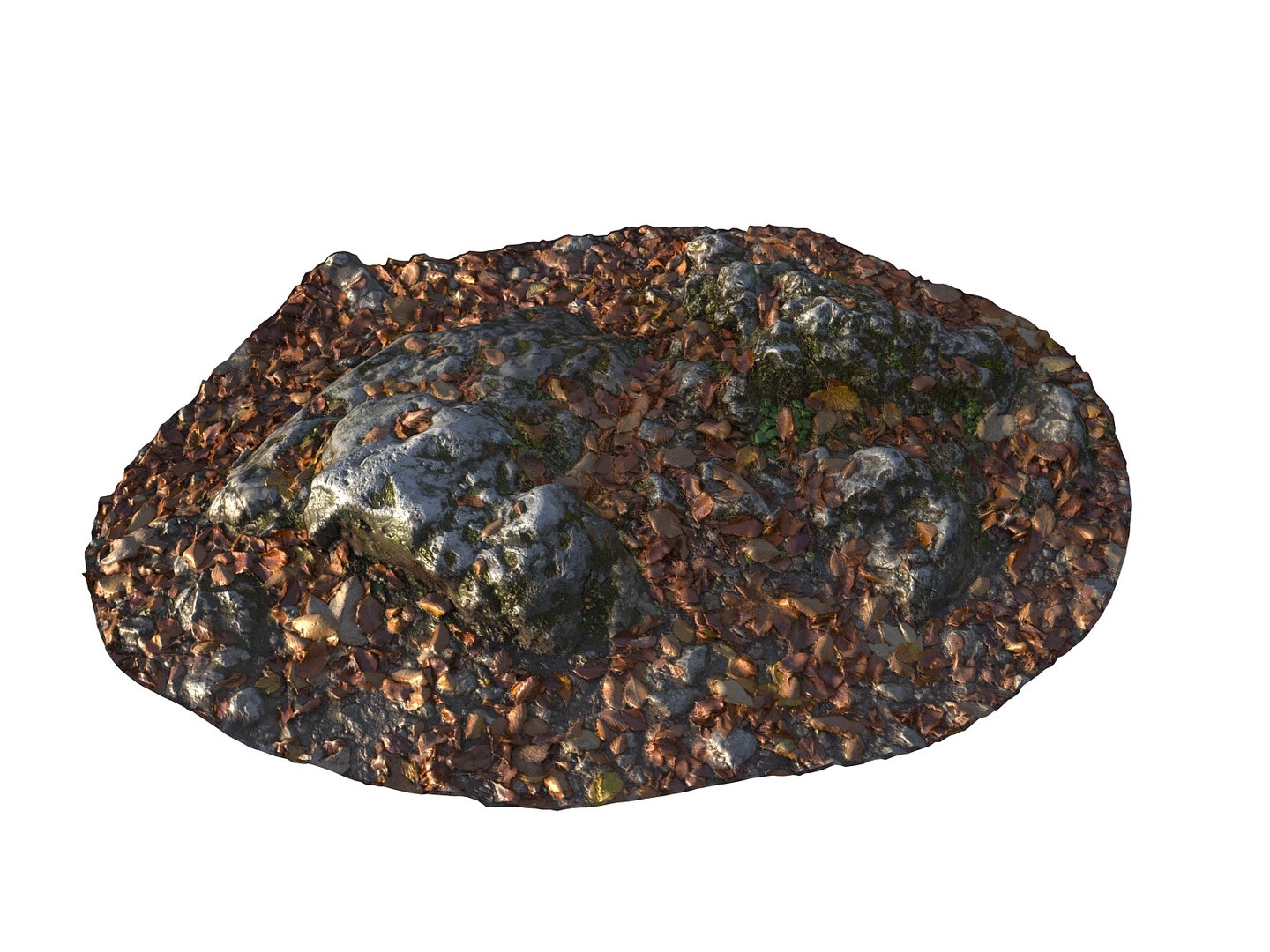 max rock forest autumn 8k