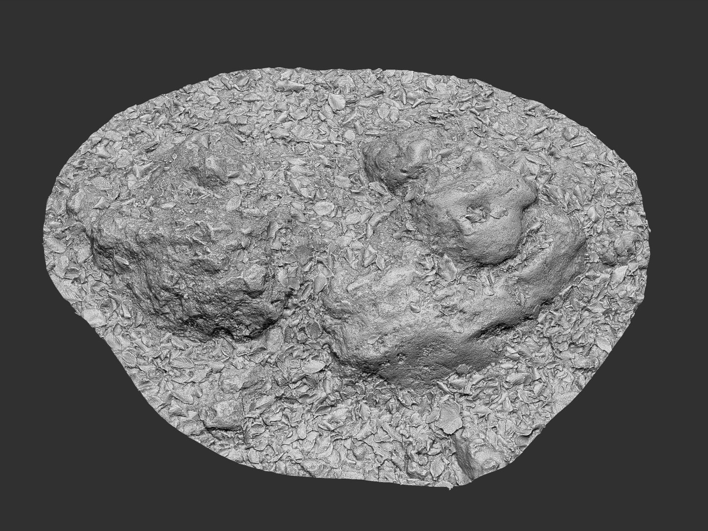 max rock forest autumn 8k