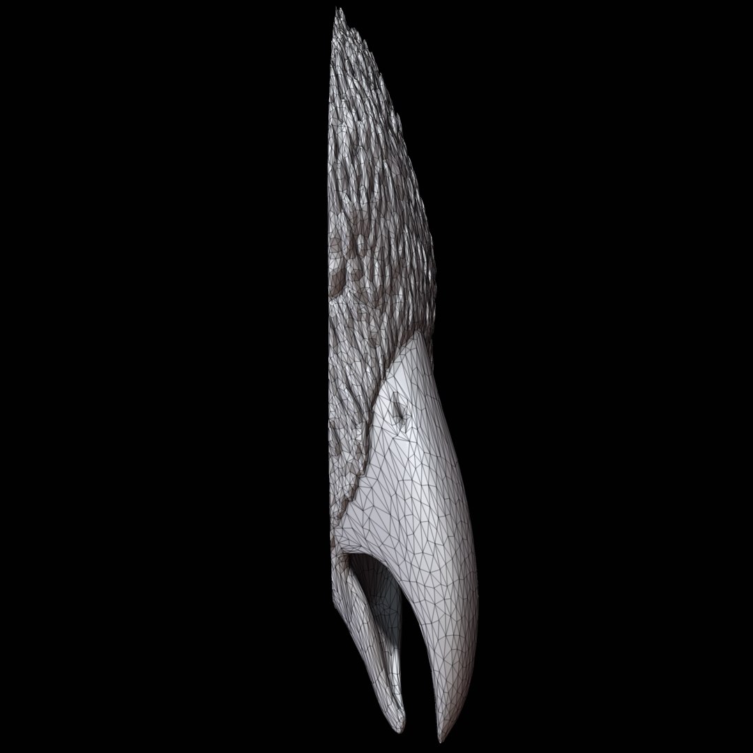 Relief Head Bird 3D Model - TurboSquid 1159768