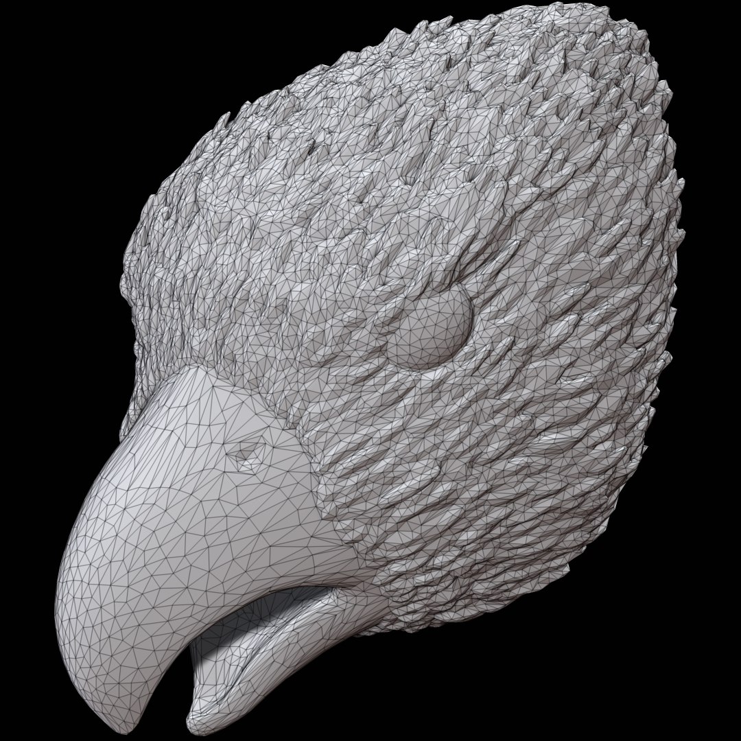 Relief head bird 3D model - TurboSquid 1159768