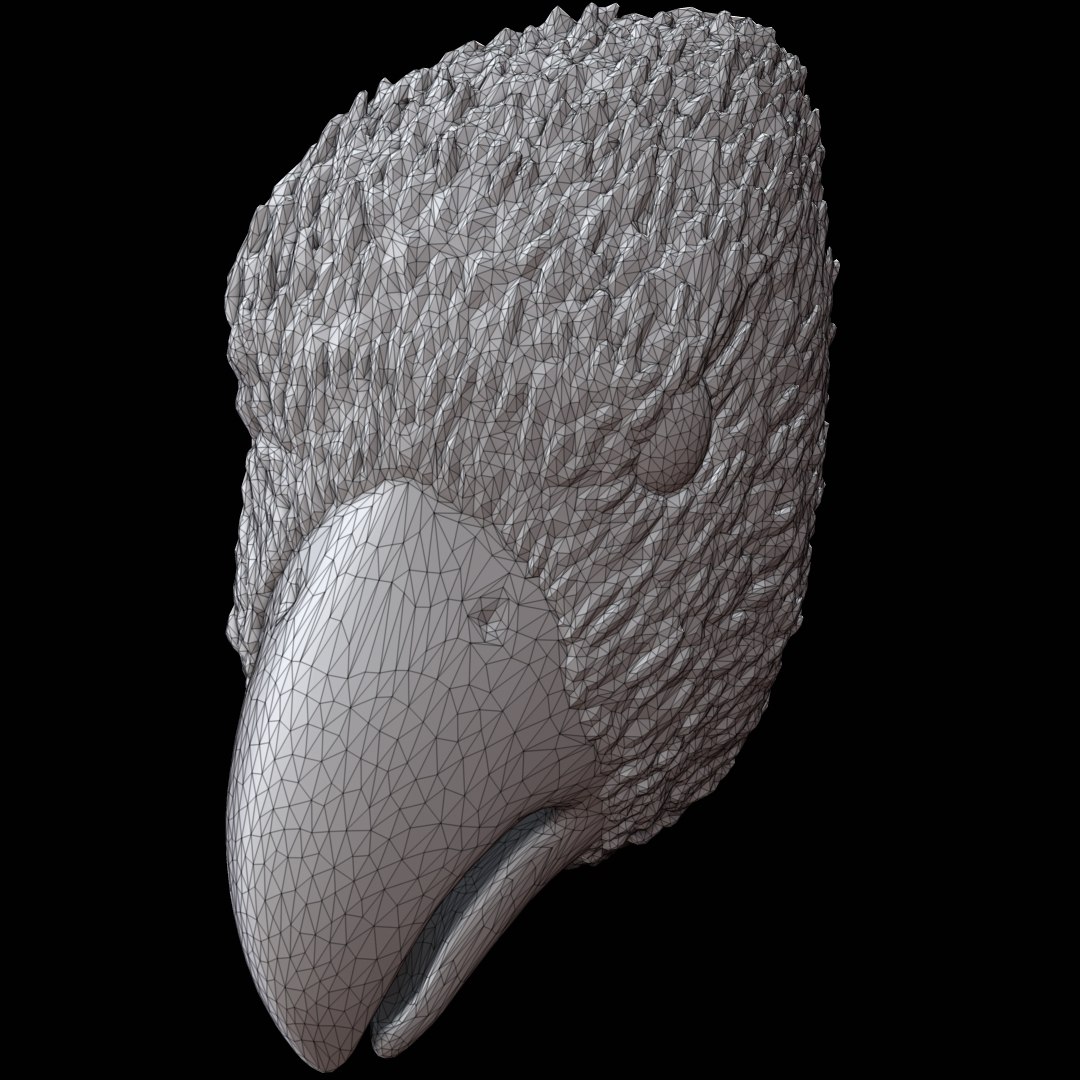 Relief Head Bird 3D Model - TurboSquid 1159768