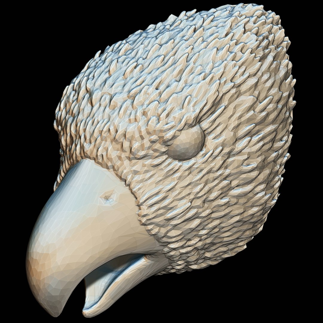 Relief Head Bird 3D Model - TurboSquid 1159768
