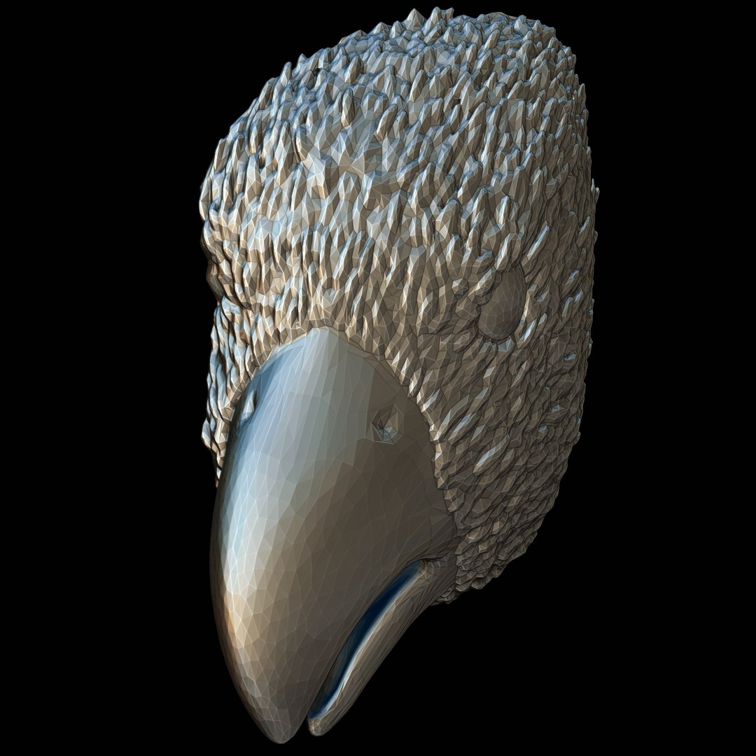 Relief Head Bird 3D Model - TurboSquid 1159768