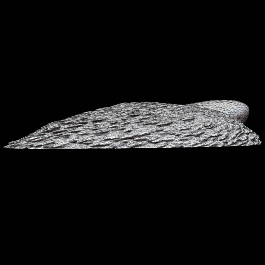 Relief Head Bird 3D Model - TurboSquid 1159768