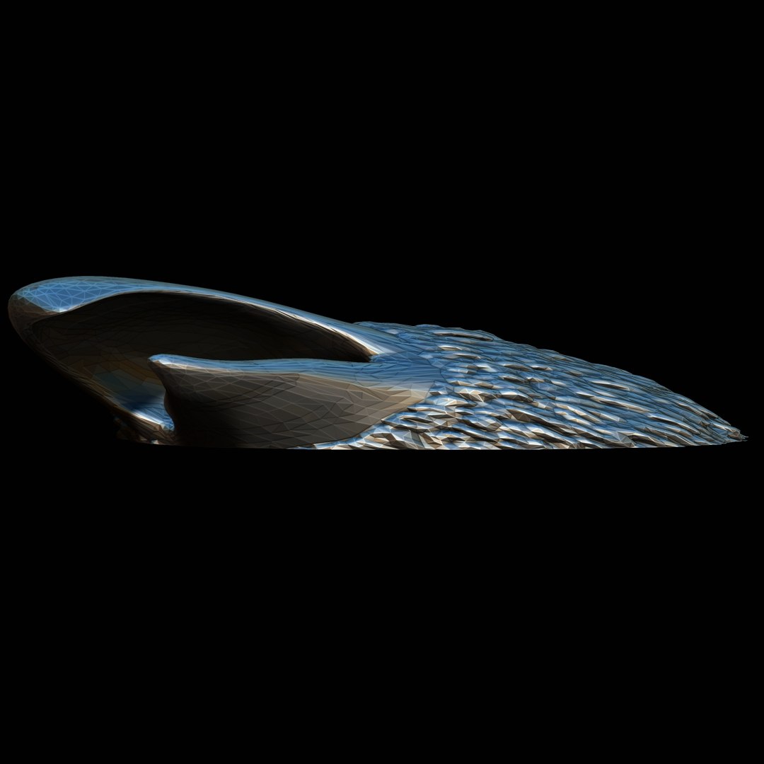 Relief Head Bird 3D Model - TurboSquid 1159768