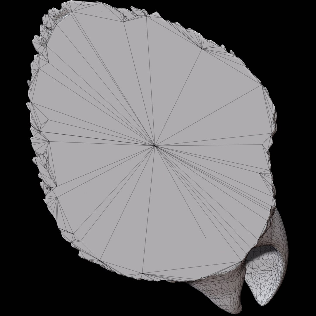 Relief Head Bird 3D Model - TurboSquid 1159768