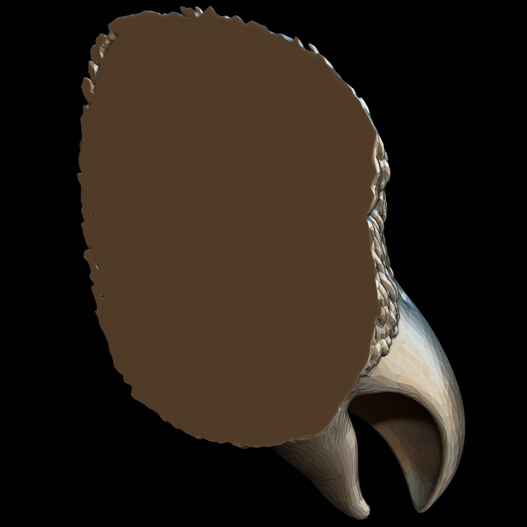 Relief Head Bird 3D Model - TurboSquid 1159768