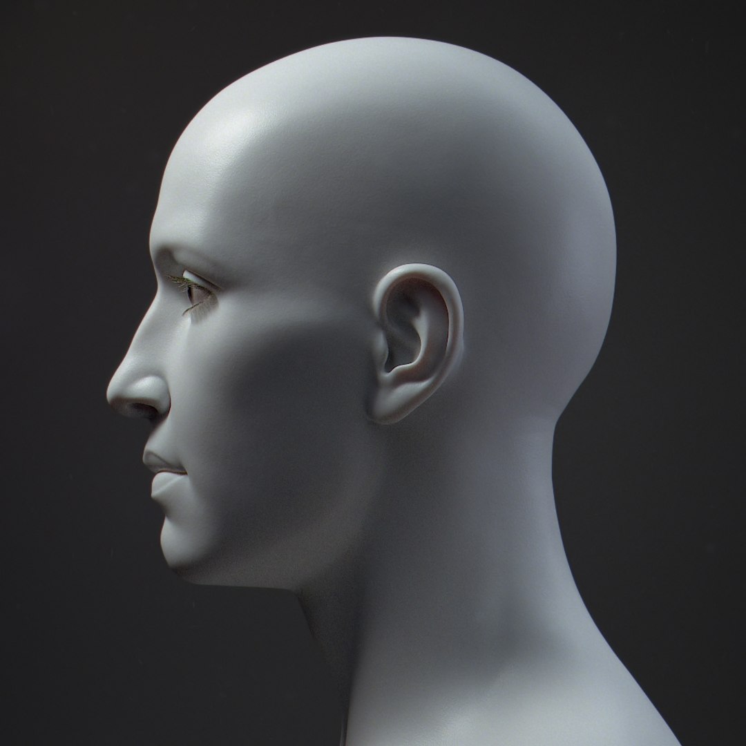 3D Model Human Bust Portrait - TurboSquid 1592531