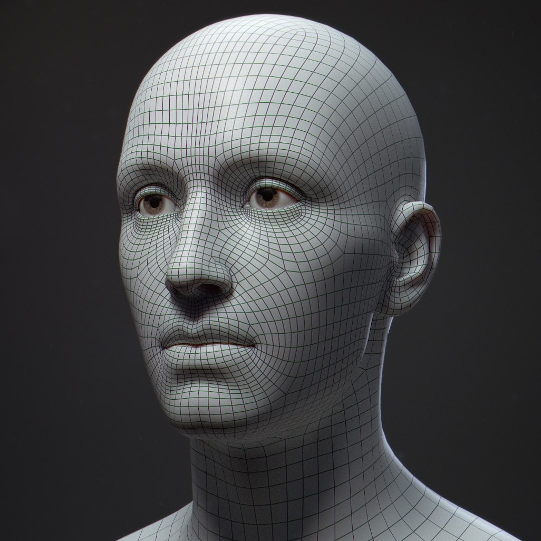 3D Model Human Bust Portrait - TurboSquid 1592531