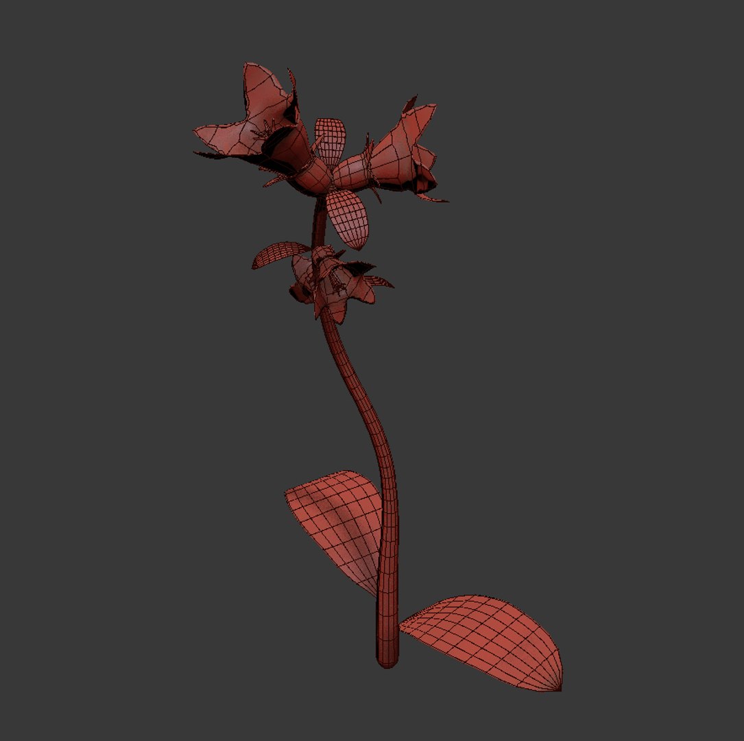 3D Flowers Open Animation Model - TurboSquid 1586575