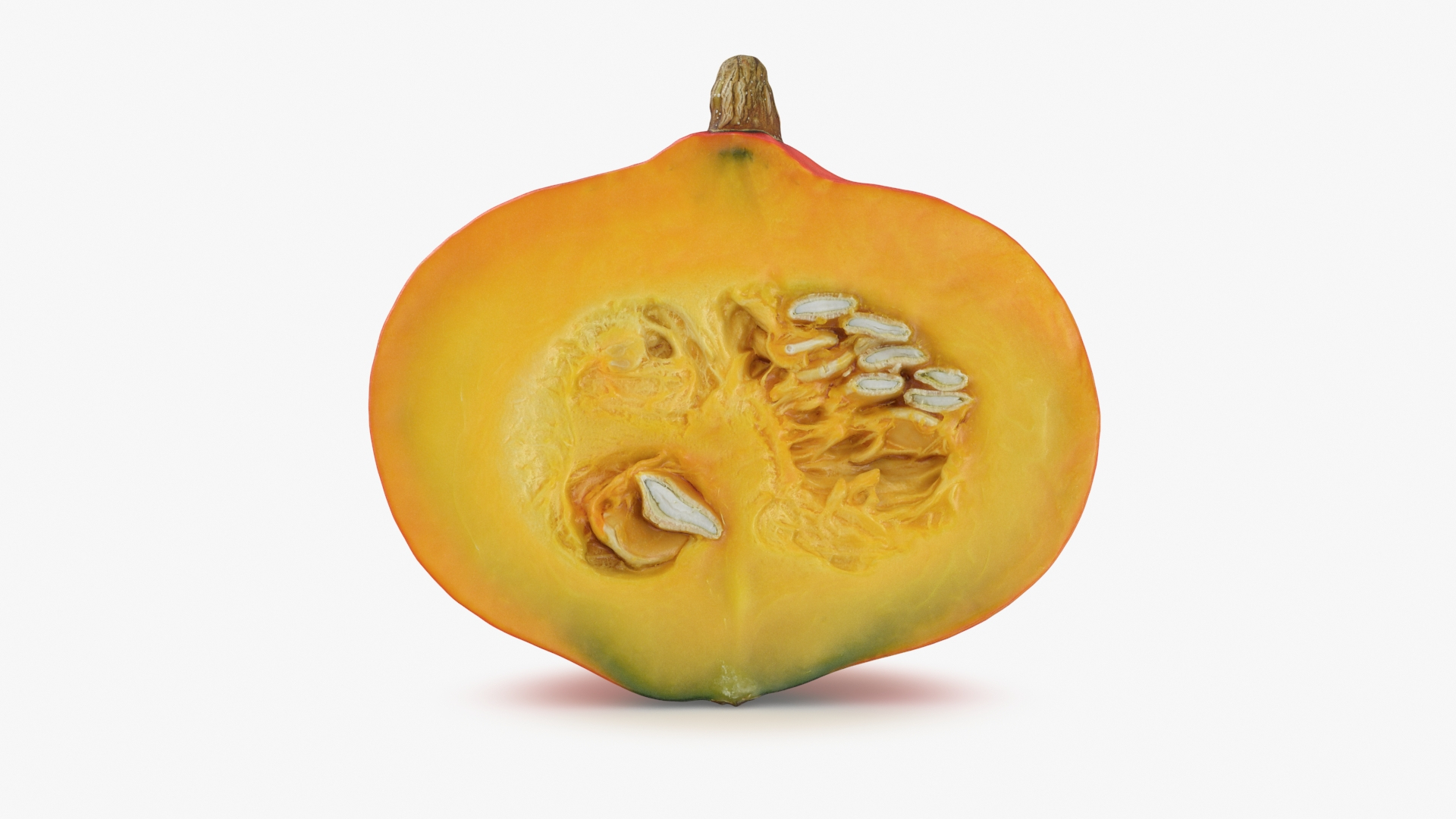 3D Half Slice Pumpkin - TurboSquid 2206082