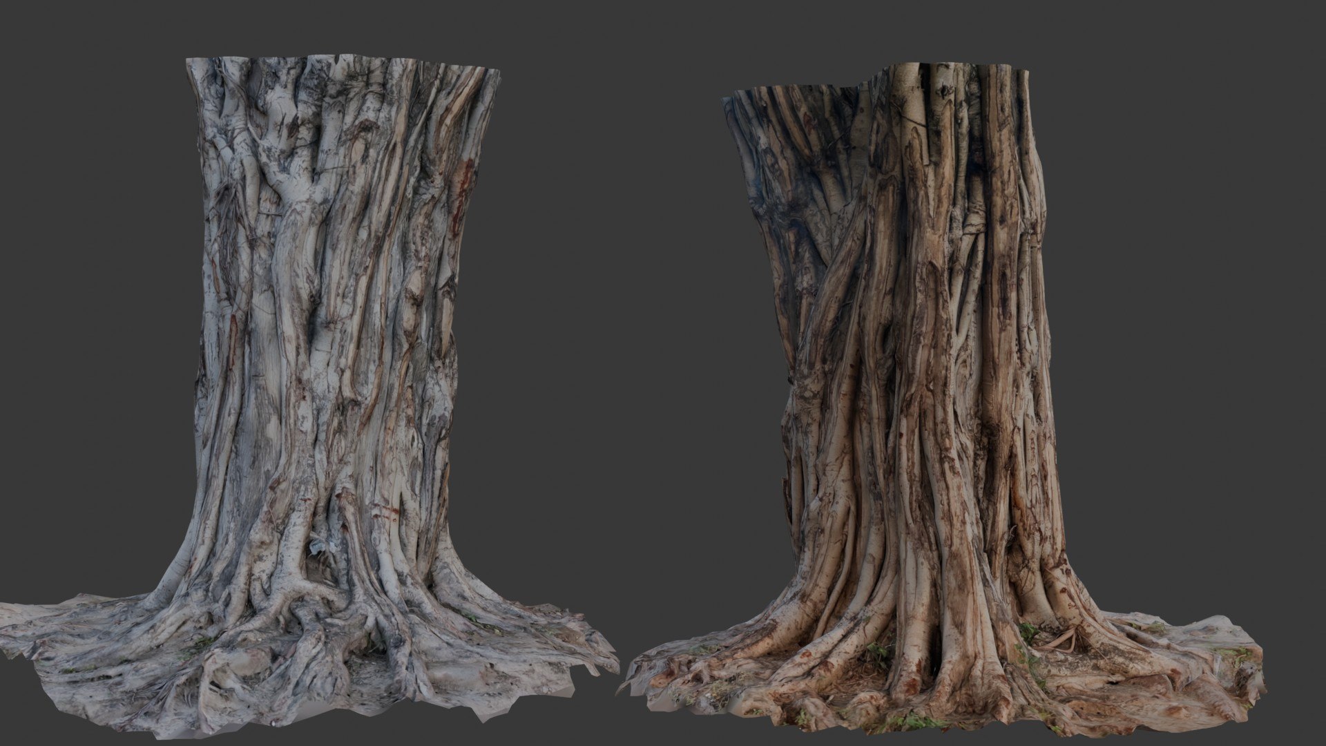 Ancient Tree Trunk Scan 3D Model - TurboSquid 2395629