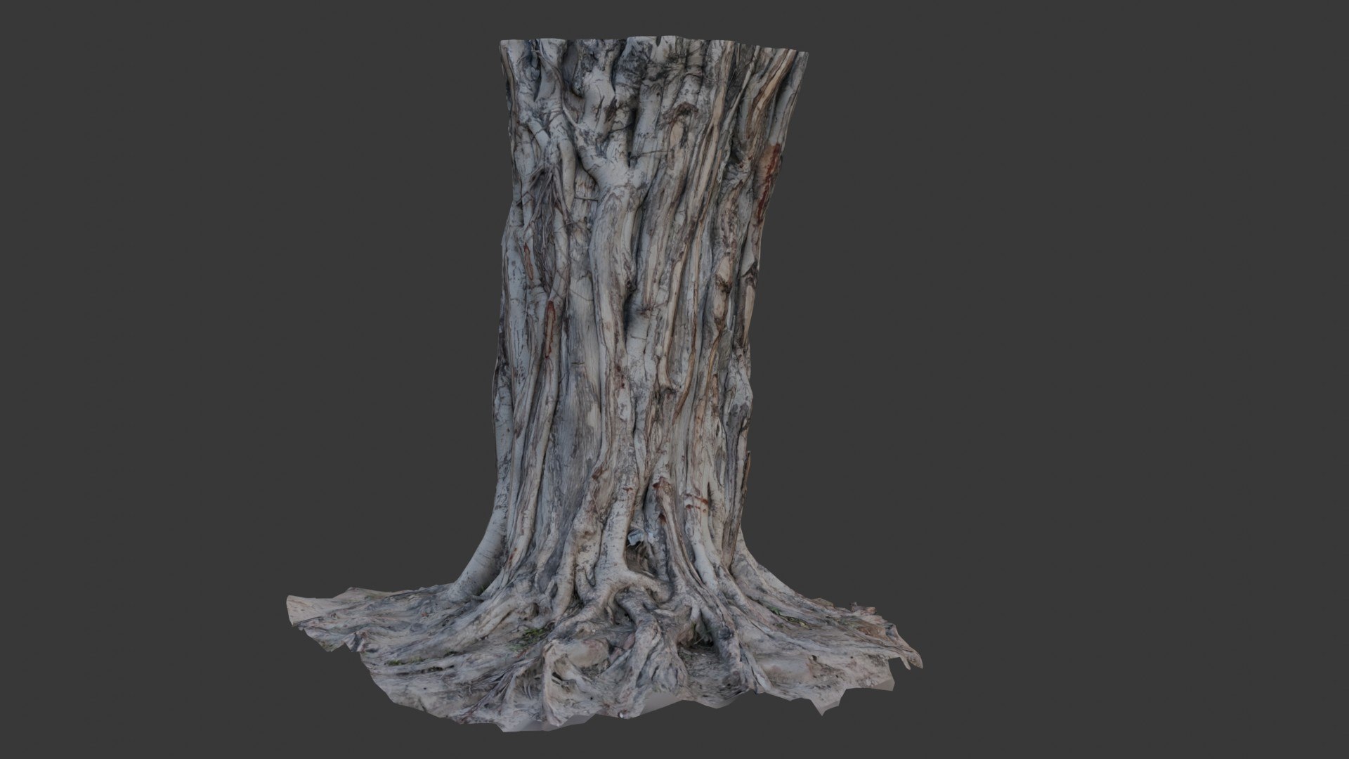 Ancient Tree Trunk Scan 3D Model - TurboSquid 2395629