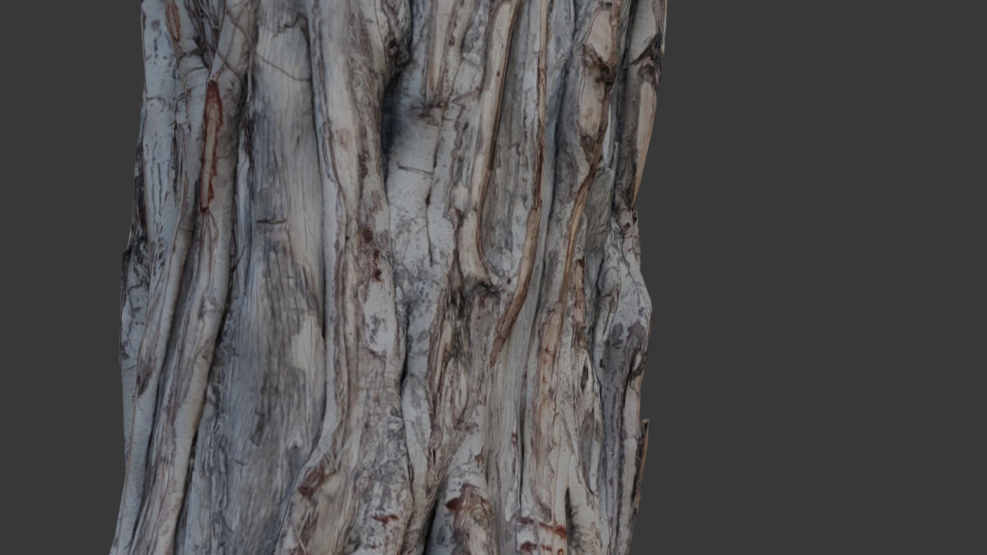Ancient Tree Trunk Scan 3D Model - TurboSquid 2395629