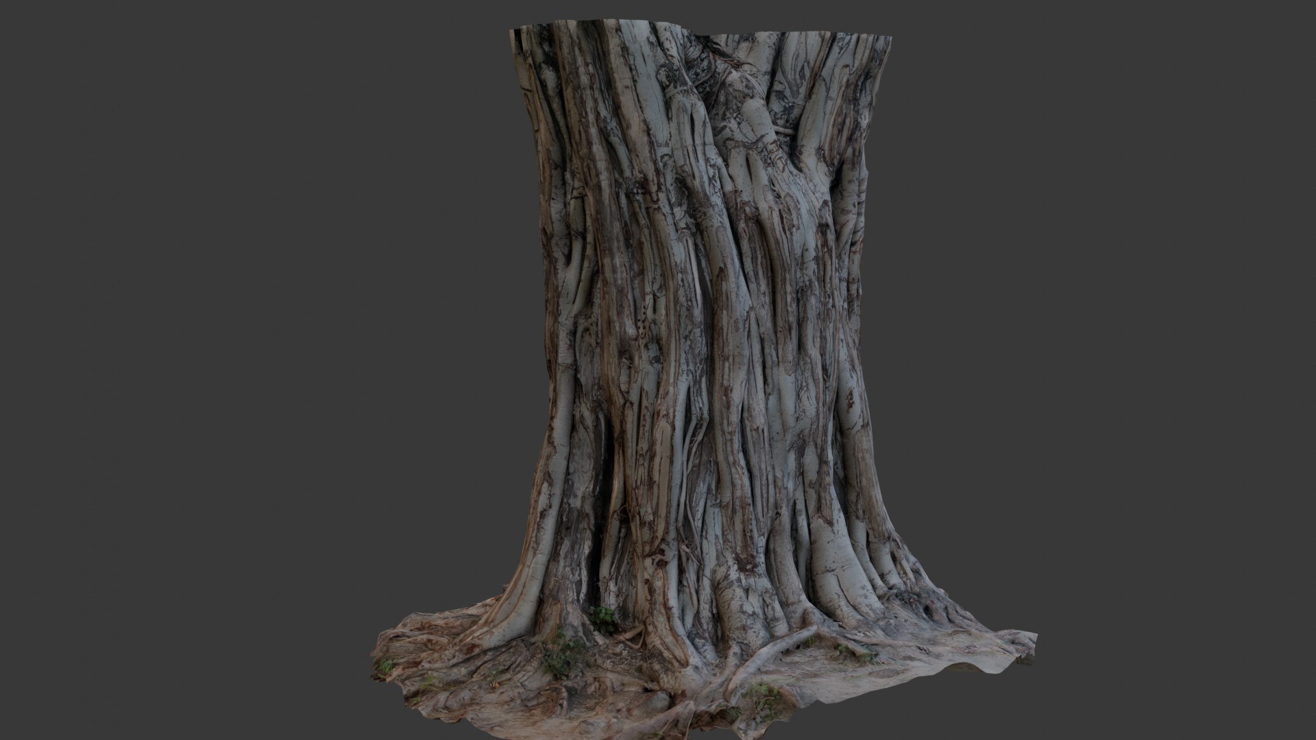Ancient Tree Trunk Scan 3D Model - TurboSquid 2395629