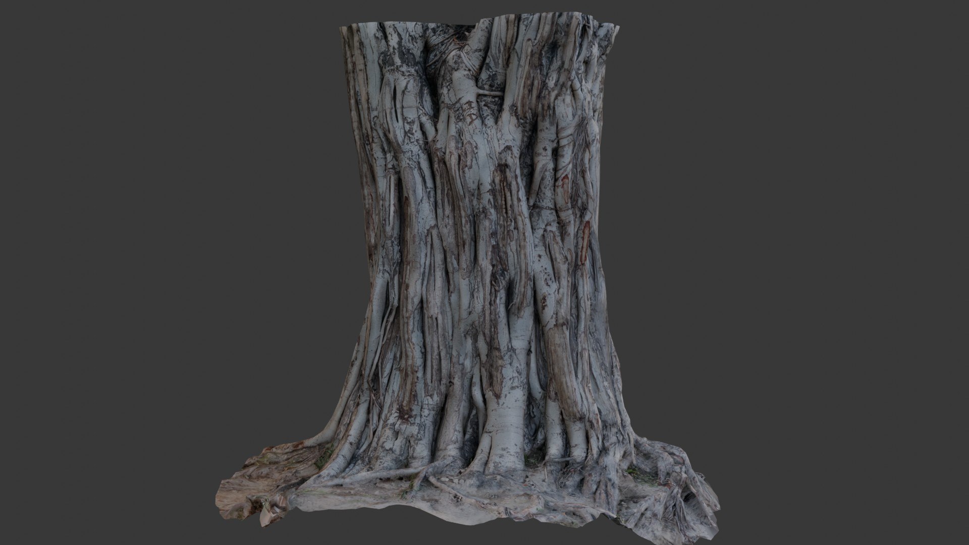 Ancient Tree Trunk Scan 3D Model - TurboSquid 2395629