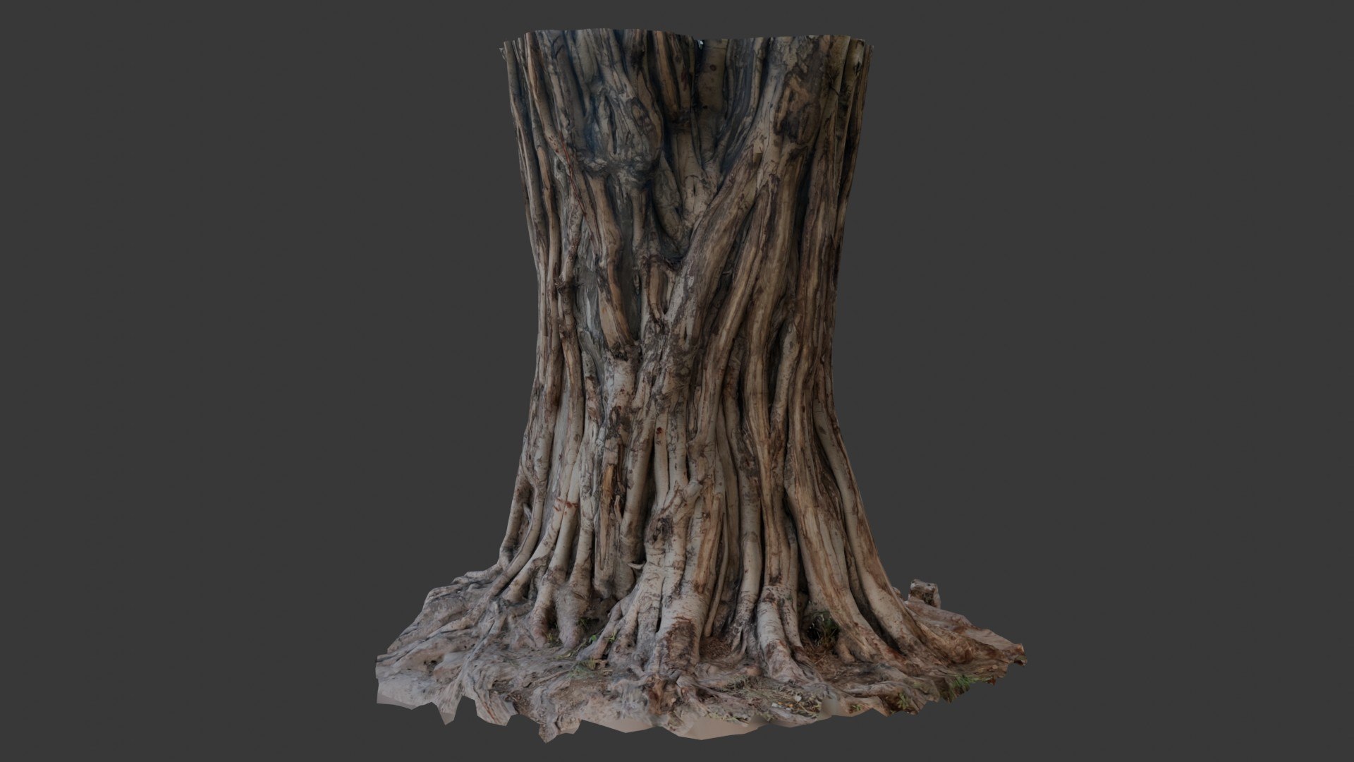 Ancient Tree Trunk Scan 3D Model - TurboSquid 2395629