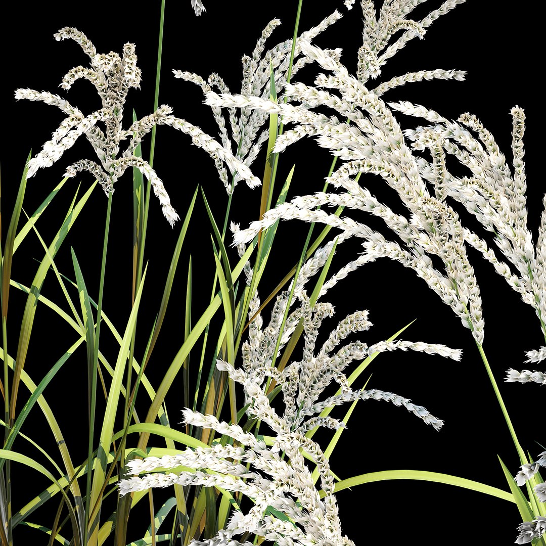 Faceted Modern Fiberstone 3D Model - TurboSquid 2030769