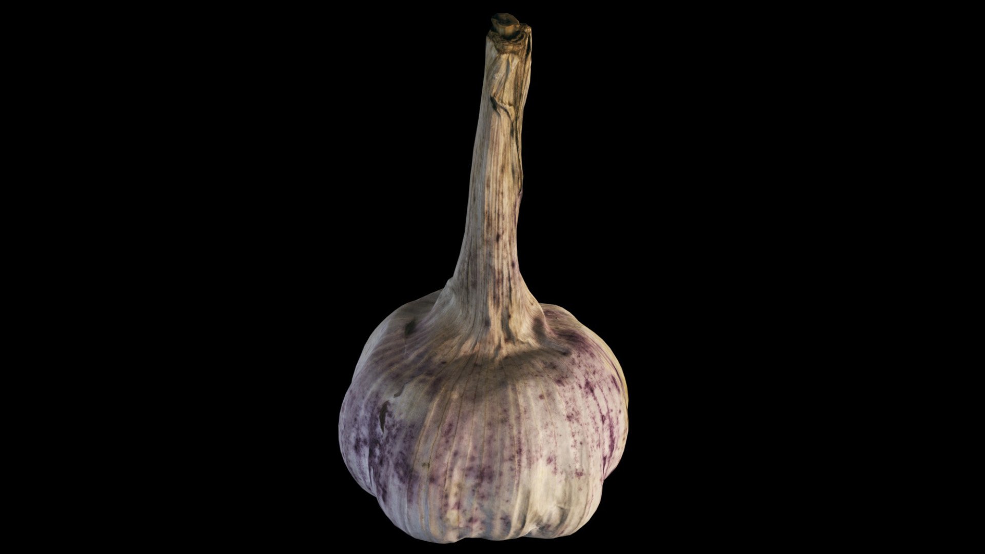4k Garlic 3D model - TurboSquid 1807477