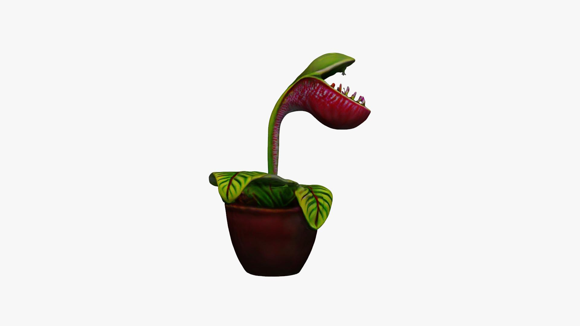 3D Model Venus Flytrap - TurboSquid 2278355