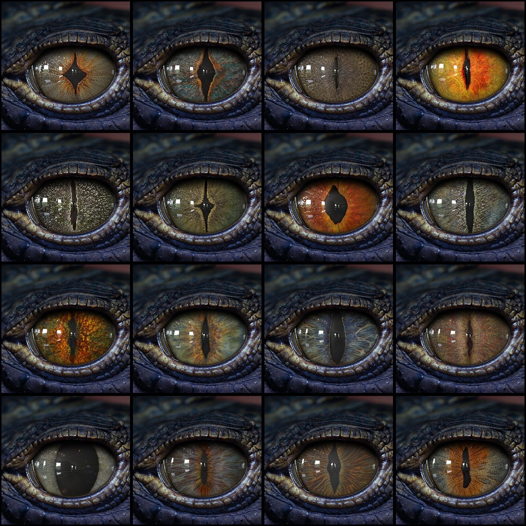 3D Creature Eyes Vol 07 - PBR - TurboSquid 2070327