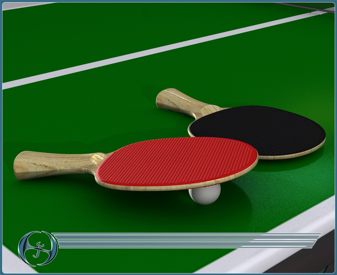 3d 3ds Table Tennis Paddles Ping Pong