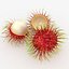 3D Tropical Fruit Model - TurboSquid 1322067