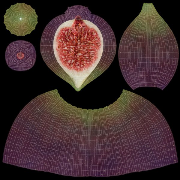 3D tropical fruit model - TurboSquid 1322067