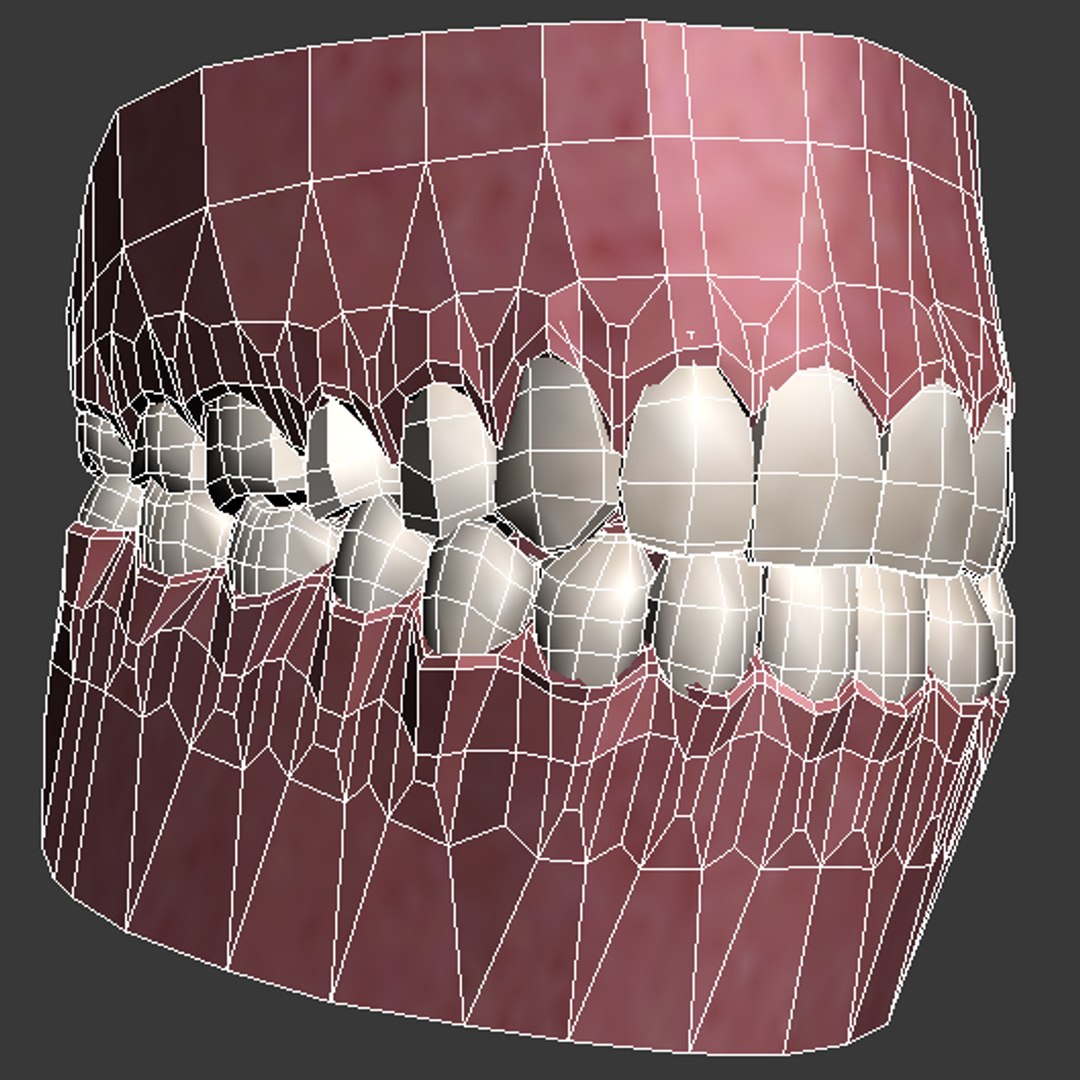 Polygonal Human Jaw 3d Model