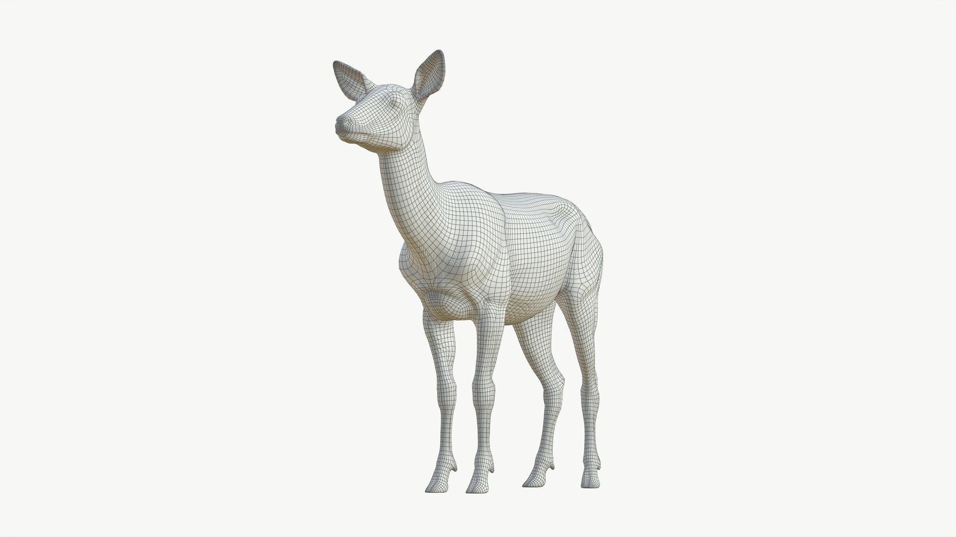 Realistic 3D Deer Model Low Poly PBR 3D Model - TurboSquid 2466886
