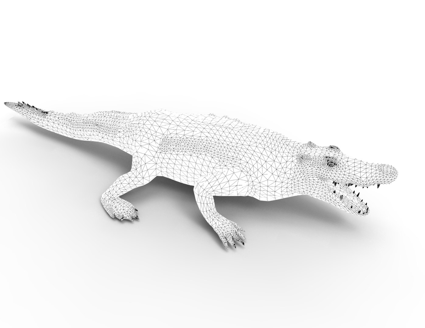Crocodile Ready Model - TurboSquid 1230793