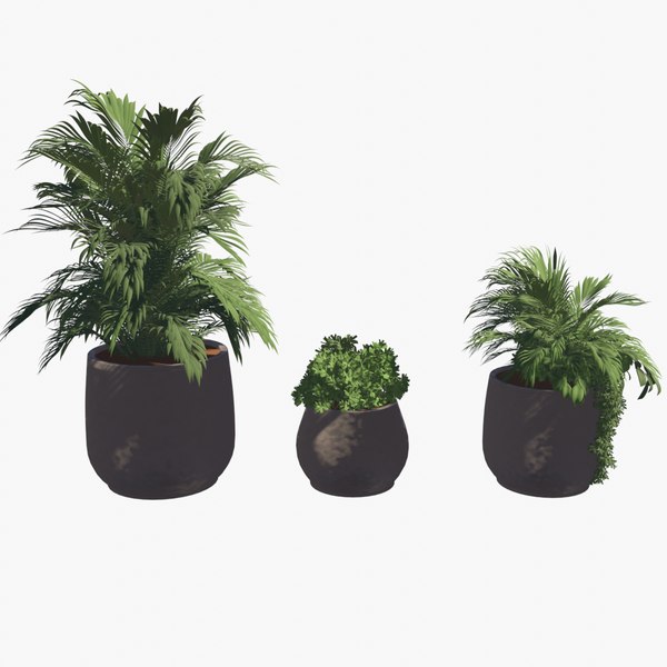 Potted Plants 3D model - TurboSquid 1726137