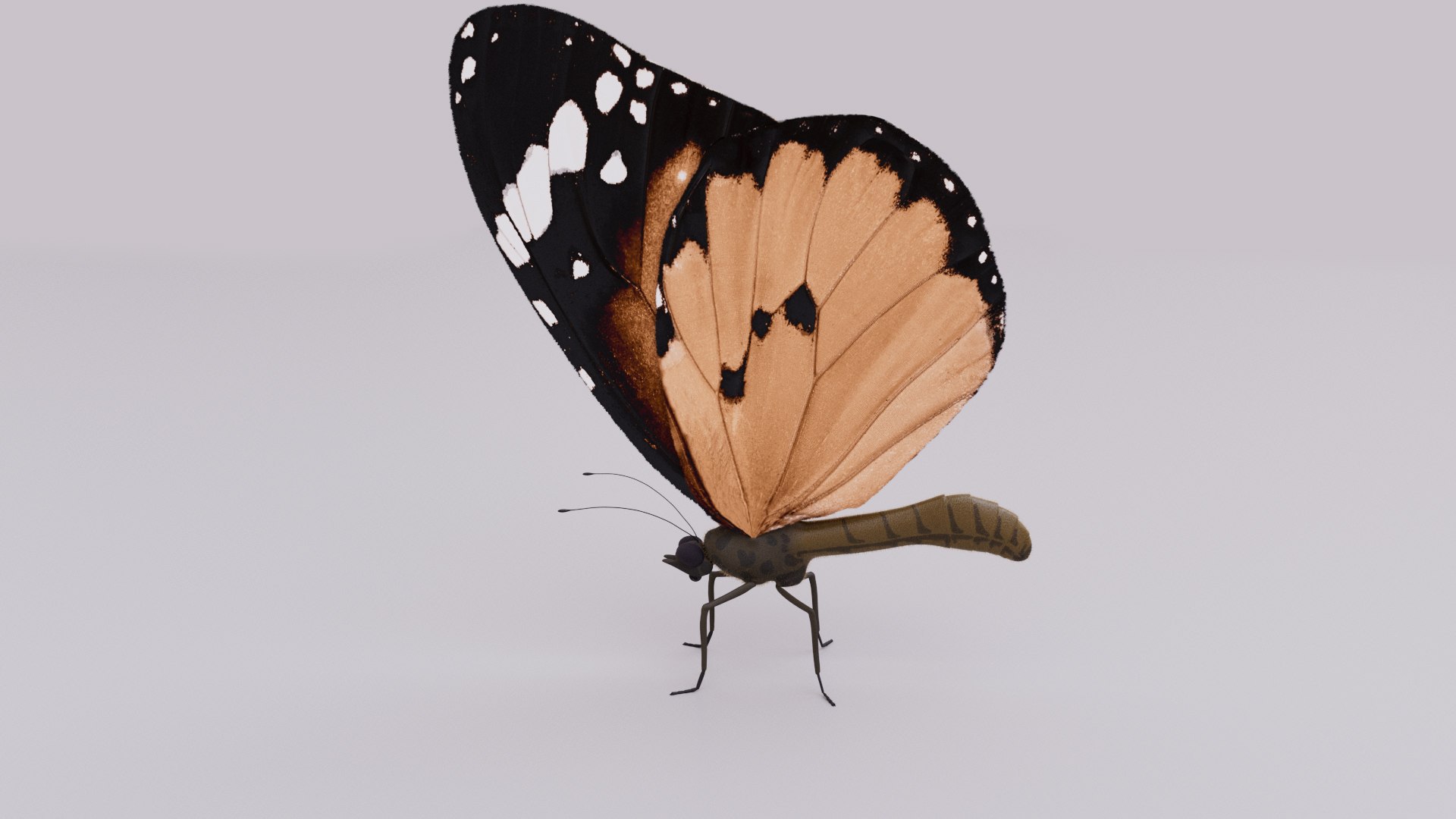 3D Model Butterfly Rigged Auto Animation - TurboSquid 2291380
