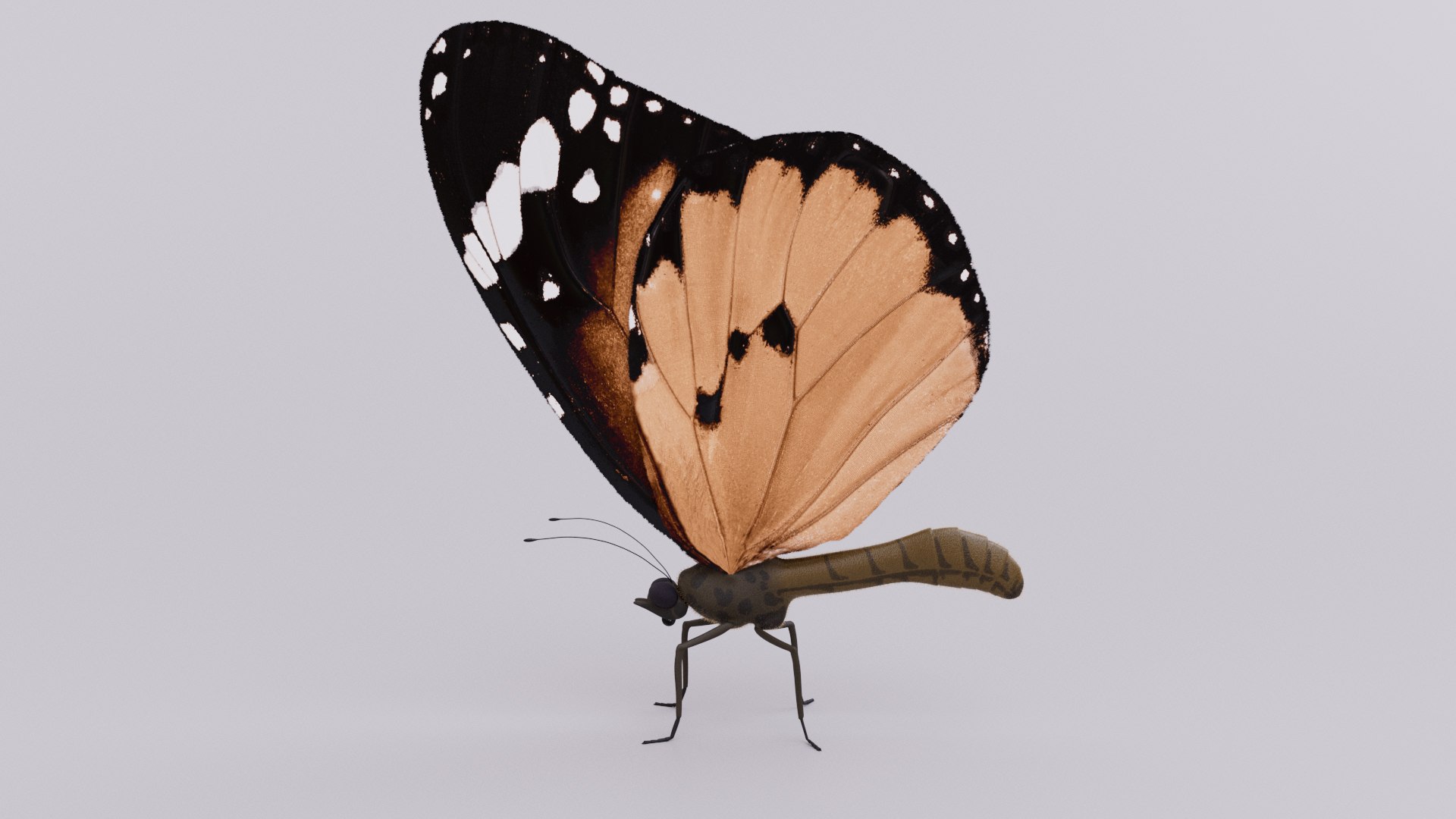 3D Model Butterfly Rigged Auto Animation - TurboSquid 2291380