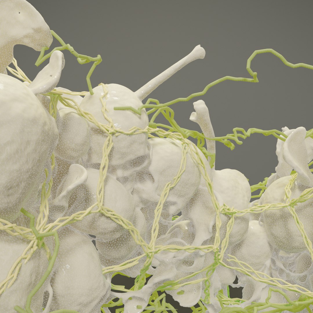 Letter n bones skeleton 3D - TurboSquid 1546208