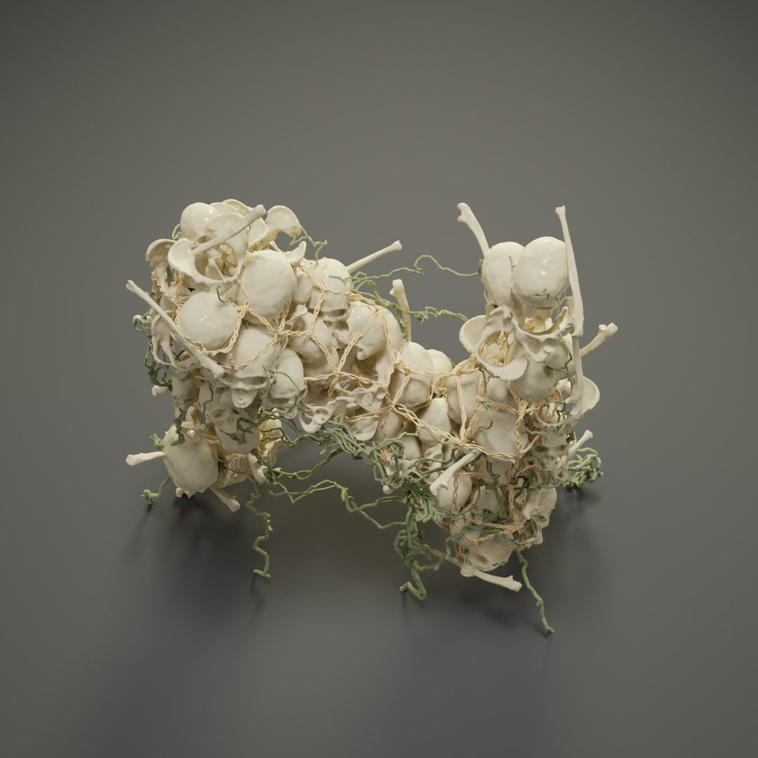 Letter n bones skeleton 3D - TurboSquid 1546208