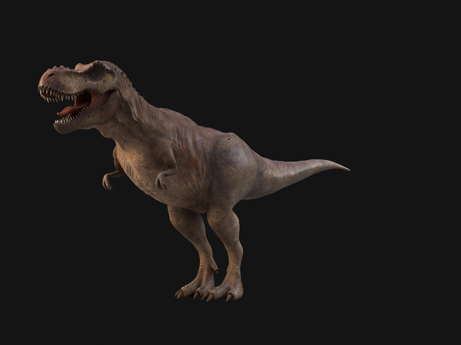 T-rex 3D model - TurboSquid 1748018