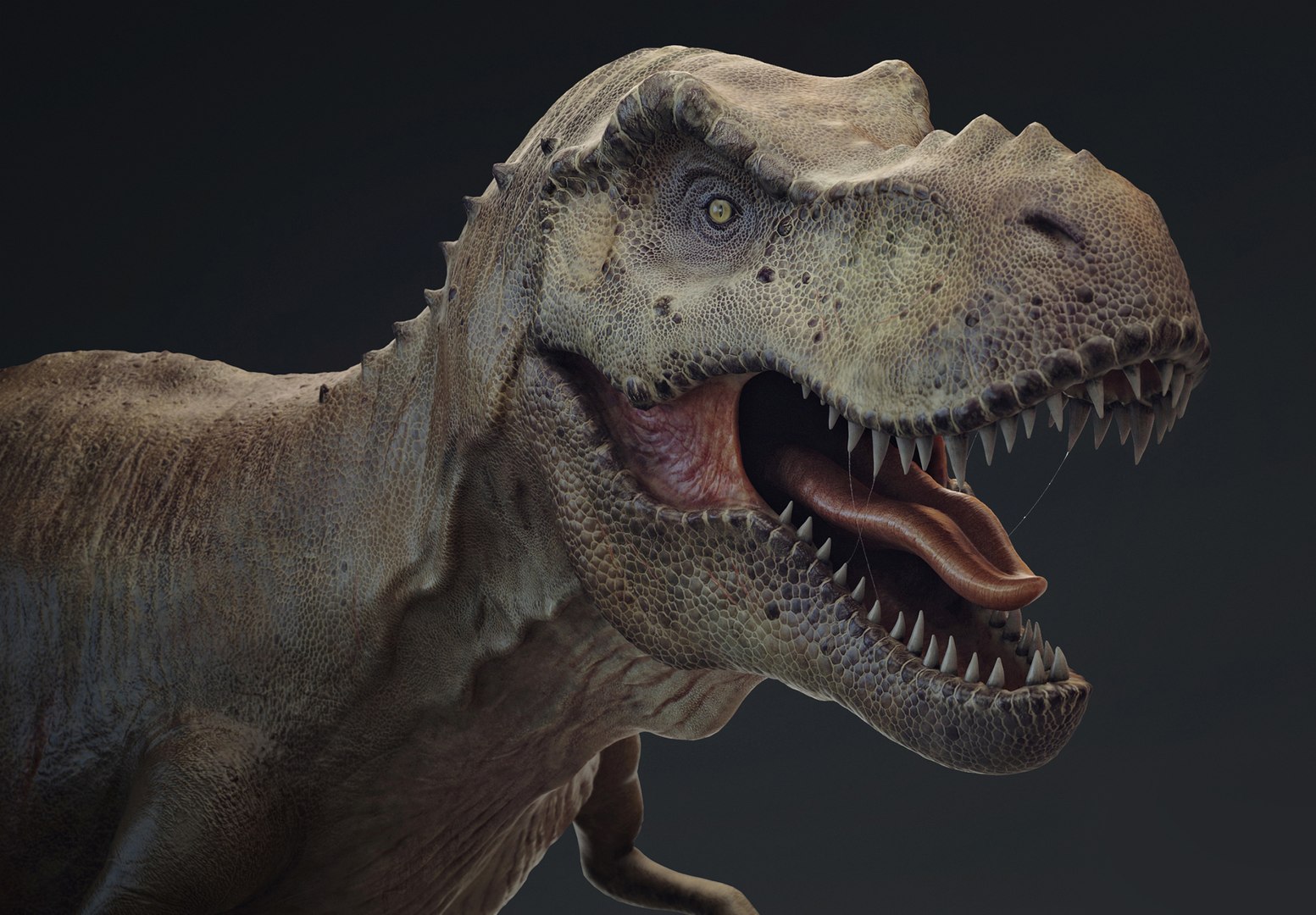 T-rex 3D Model - TurboSquid 1748018