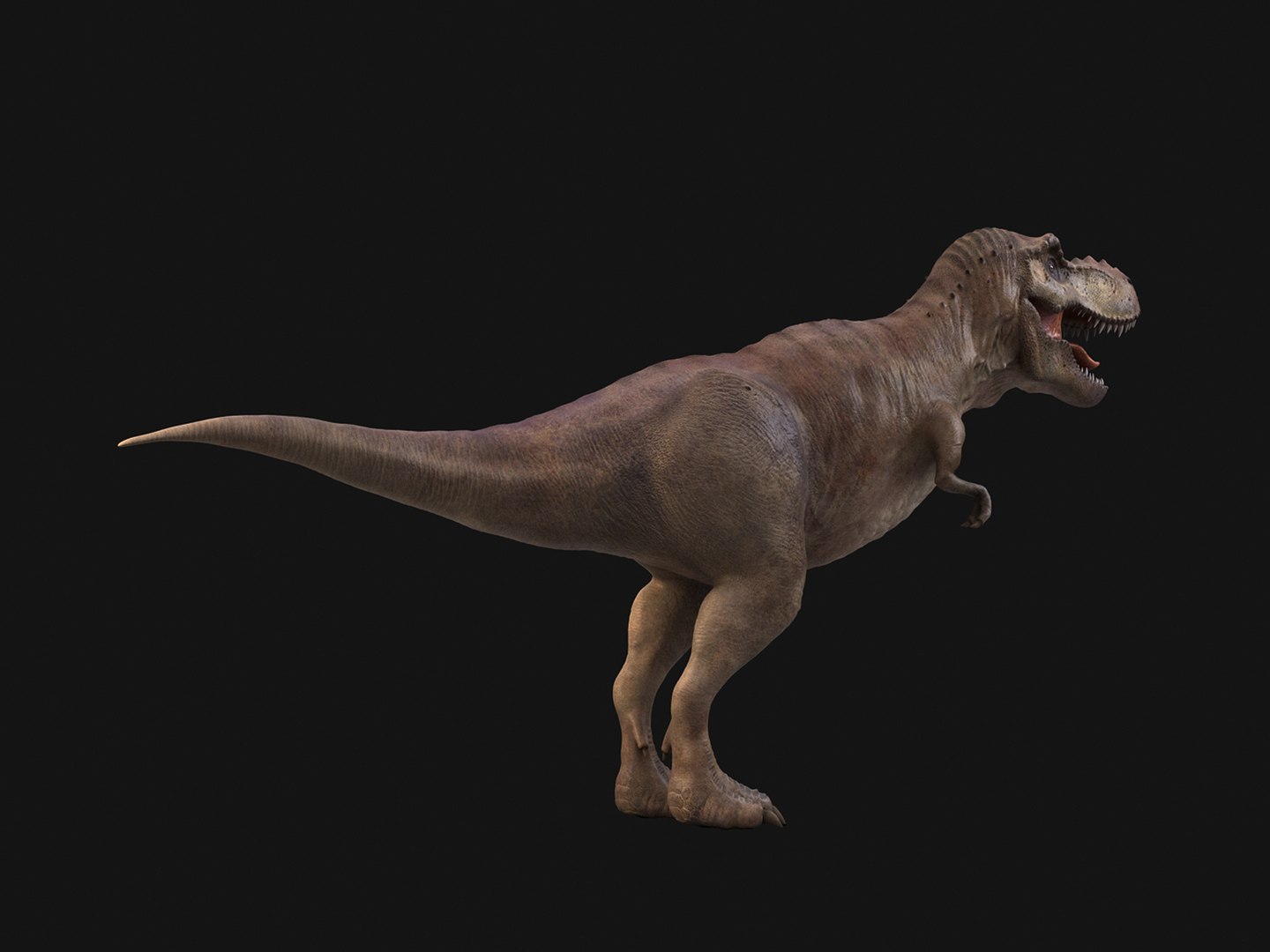 T-rex 3D Model - TurboSquid 1748018