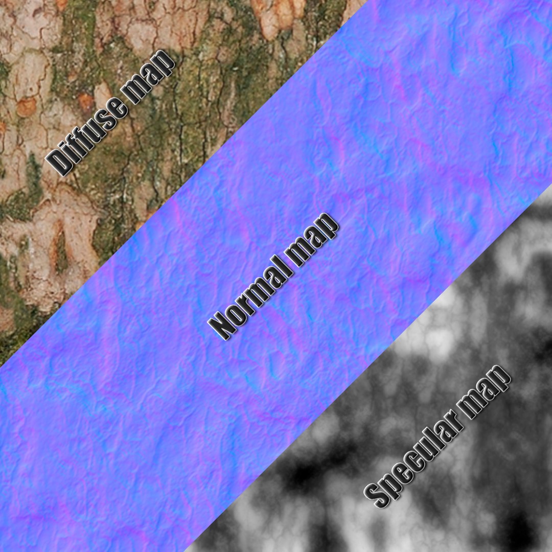 3d Model Realistic Platanus Tree Type