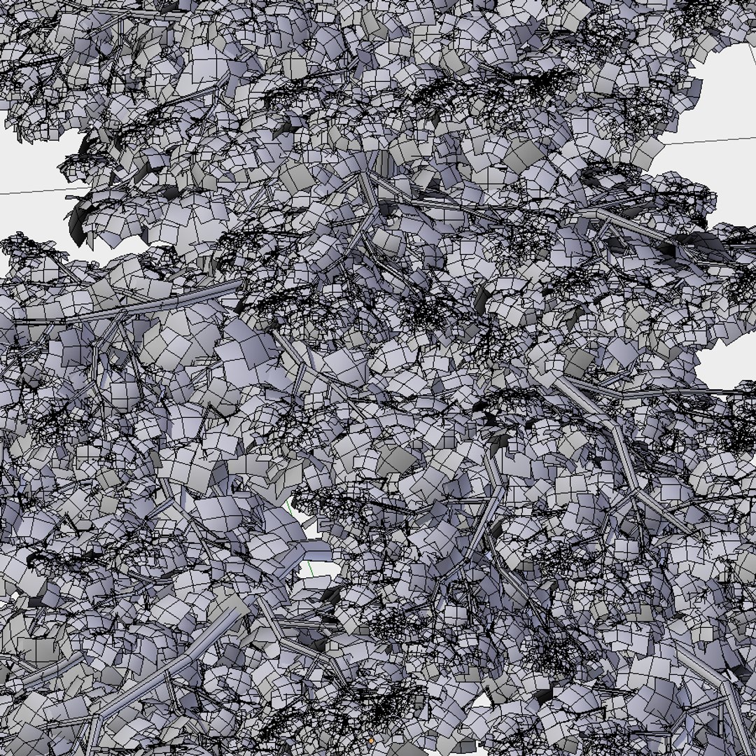 3d Model Realistic Platanus Tree Type