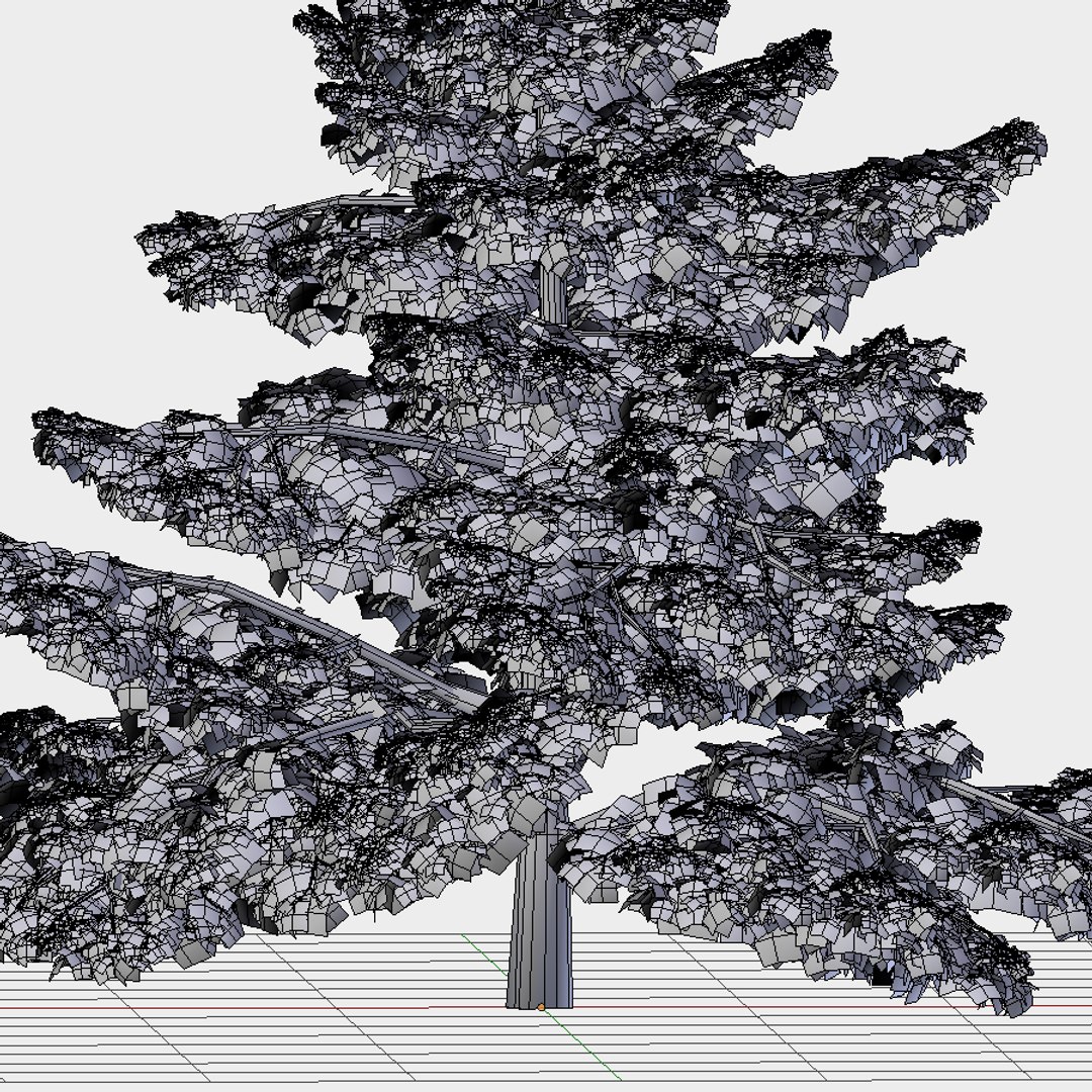 3d Model Realistic Platanus Tree Type