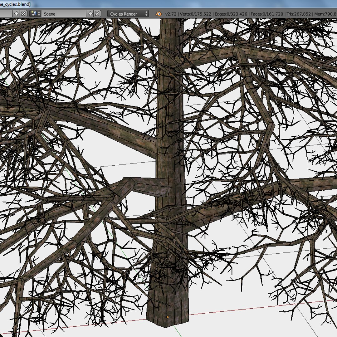 3d Model Realistic Platanus Tree Type