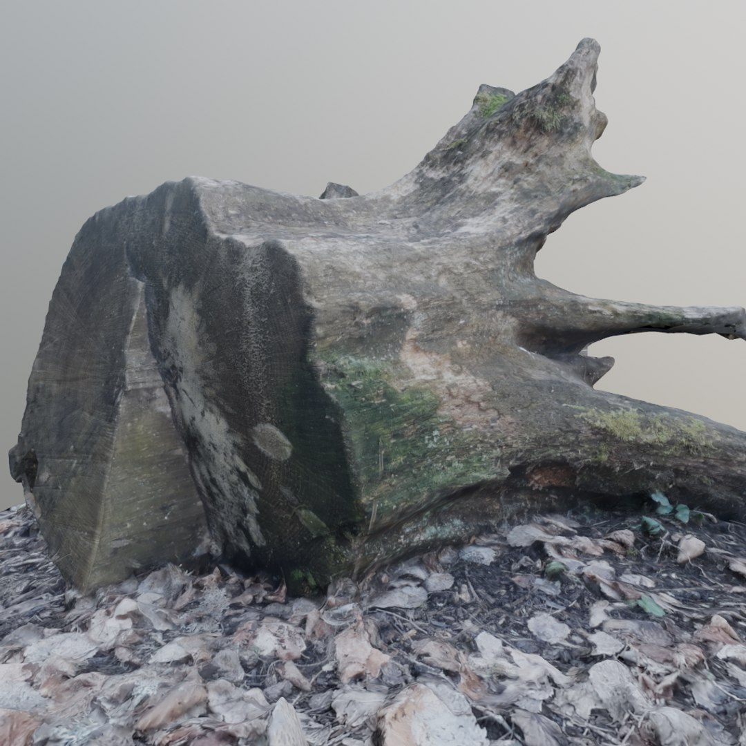 Scanned Fallen Tree Stump Model - TurboSquid 1512811