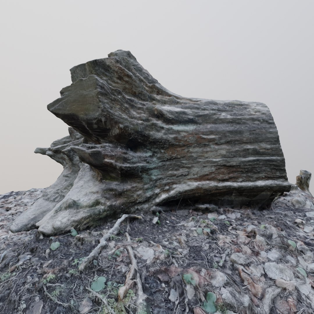 Scanned Fallen Tree Stump Model - TurboSquid 1512811