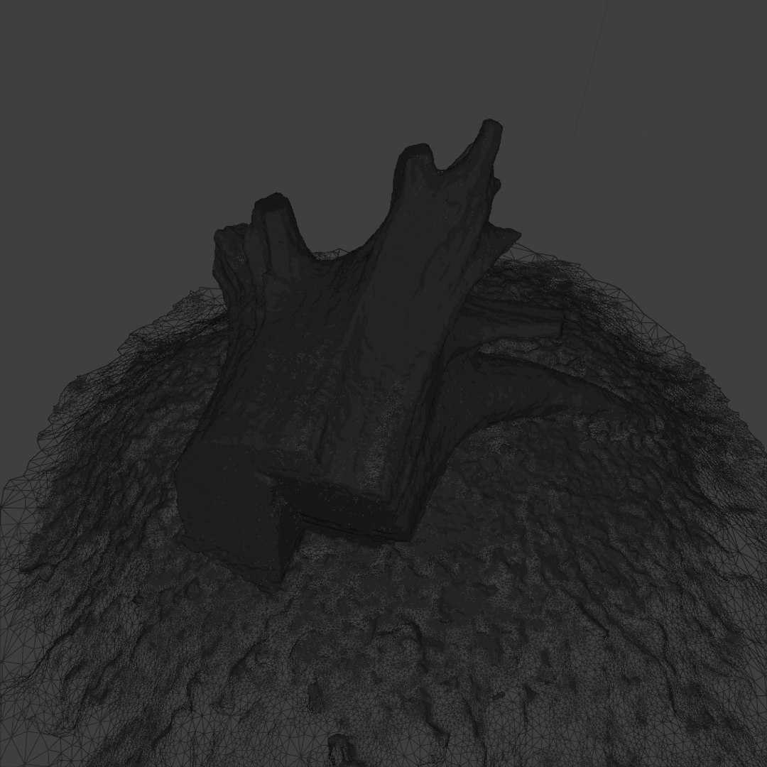 Scanned Fallen Tree Stump Model - TurboSquid 1512811